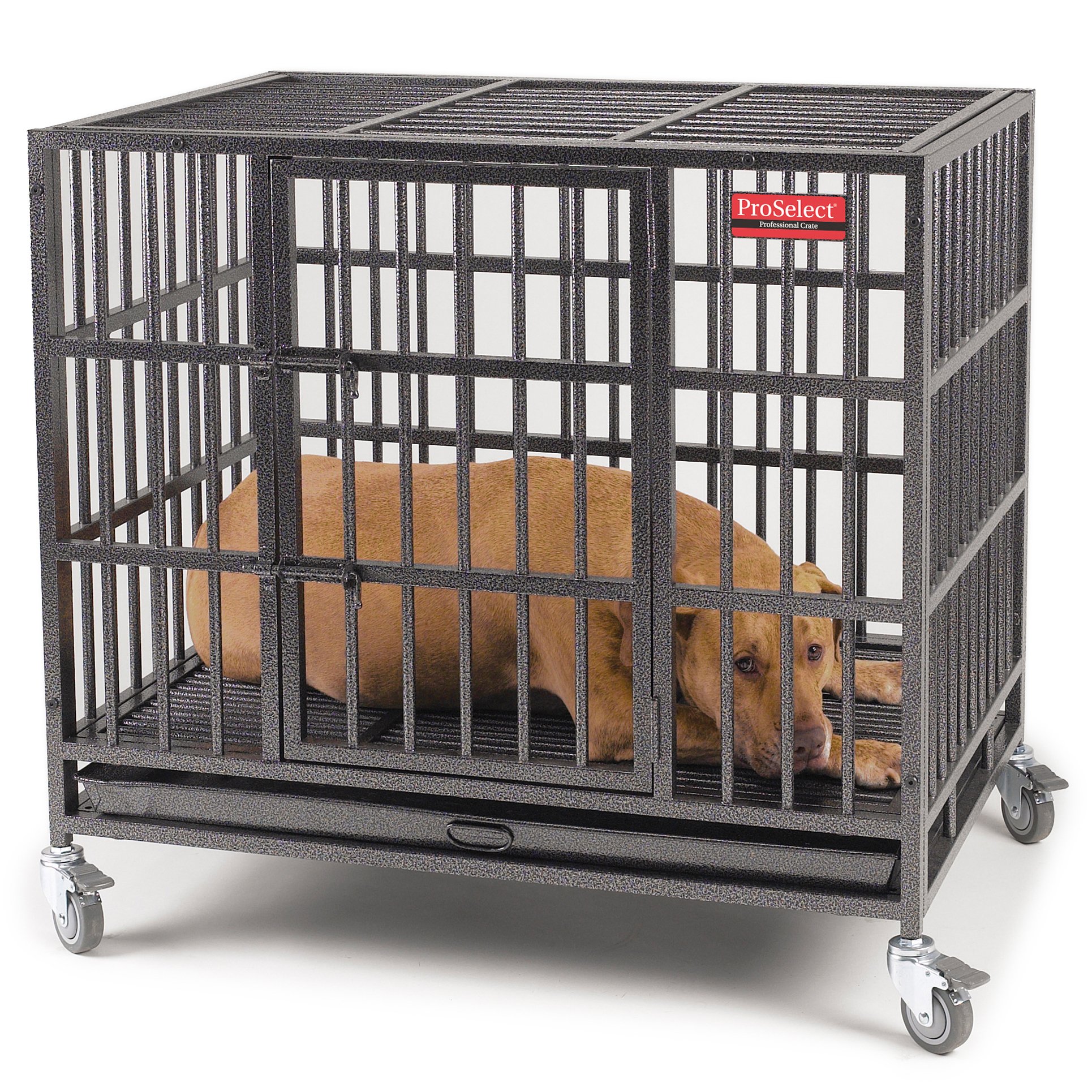 The Best Heavy-Duty Dog Crates for Strong and Escape-Prone Breeds – My ...